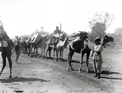 SCP-036 | Fundação SCP Global Wiki | Fandom