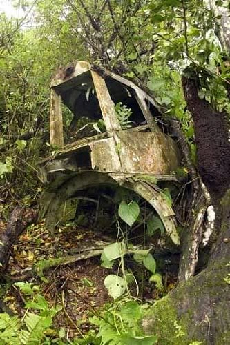 SCP-974 | Fundação SCP Global Wiki | Fandom