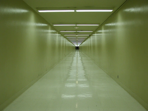 SCP-398 | Fundação SCP Global Wiki | Fandom