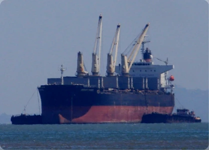 SCP-3241 | Fundação SCP Global Wiki | Fandom