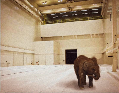 SCP-2082 | Fundação SCP Global Wiki | Fandom