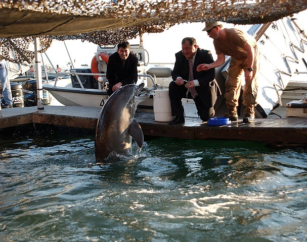 SCP-3932 | Fundação SCP Global Wiki | Fandom