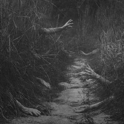 SCP-2988 | Fundação SCP Global Wiki | Fandom