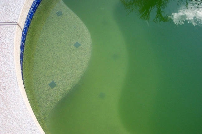 SCP-242 | Fundação SCP Global Wiki | Fandom