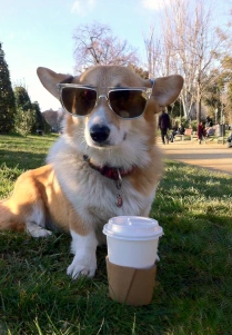 SCP-1279 | Wiki Fundação SCP | Fandom