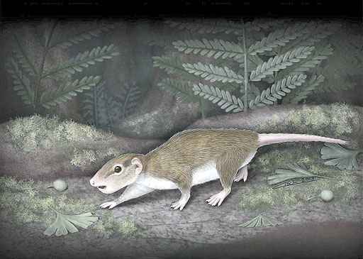 SCP-886 | Wiki Fundação SCP | Fandom