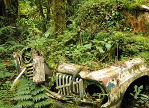 SCP-1191 | Wiki Fundação SCP | Fandom