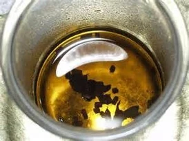 SCP-1600 | Wiki Fundação SCP | Fandom