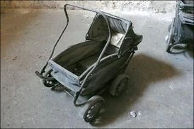 SCP-382 | Wiki Fundação SCP | Fandom