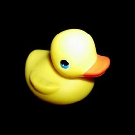 SCP-1356 | Wiki Fundação SCP | Fandom