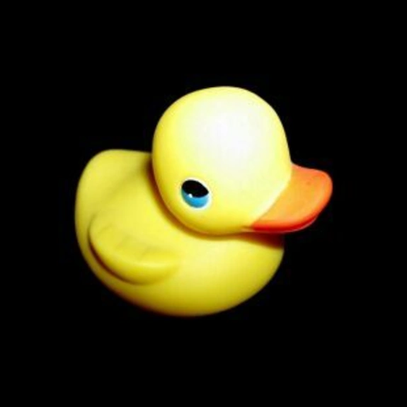 SCP-1356 | Wiki Fundação SCP | Fandom