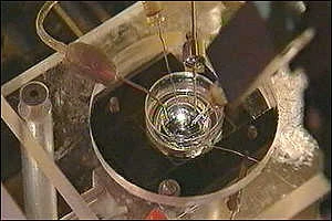 SCP-771 | Wiki Fundação SCP | Fandom