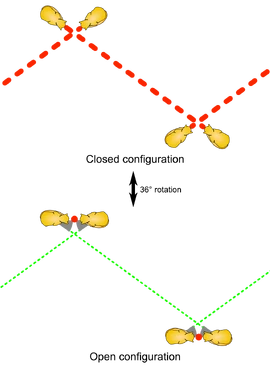 SCP-531 | Wiki Fundação SCP | Fandom