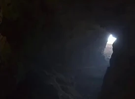 SCP-1303 | Wiki Fundação SCP | Fandom