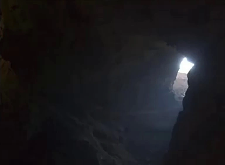 SCP-1303 | Wiki Fundação SCP | Fandom