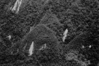 SCP-1888 | Wiki Fundação SCP | Fandom