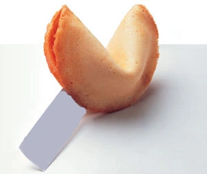 SCP-1335 | Wiki Fundação SCP | Fandom