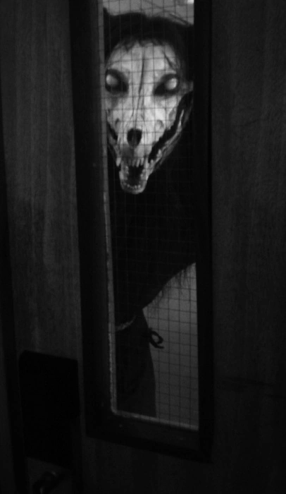 SCP-1471 | Wiki Fundação SCP | Fandom