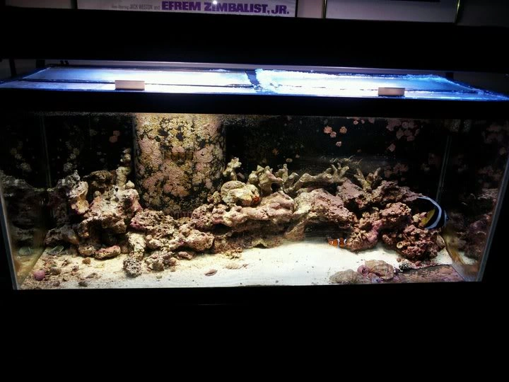 SCP-1938 | Wiki Fundação SCP | Fandom