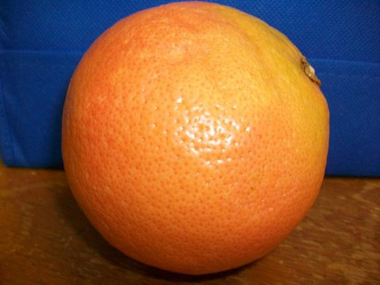 SCP-1794 | Wiki Fundação SCP | Fandom