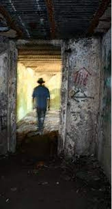 SCP-1988 | Wiki Fundação SCP | Fandom