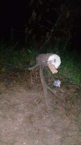 SCP-022-PT | Wiki Fundação SCP | Fandom