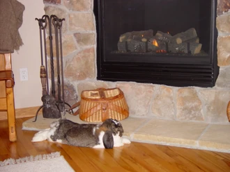 SCP-1793 | Wiki Fundação SCP | Fandom