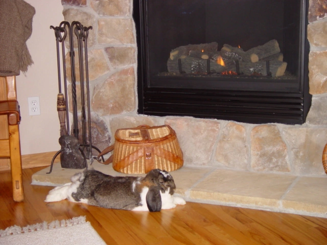 SCP-1793 | Wiki Fundação SCP | Fandom