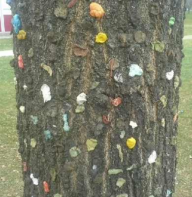 SCP-2033 | Wiki Fundação SCP | Fandom