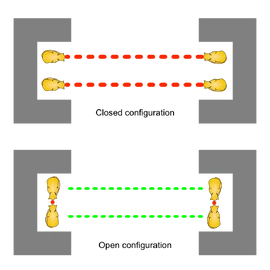 SCP-531 | Wiki Fundação SCP | Fandom