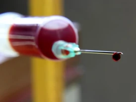 SCP-383 | Wiki Fundação SCP | Fandom