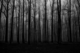 SCP-899 | Wiki Fundação SCP | Fandom