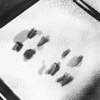 SCP-1994 | Wiki Fundação SCP | Fandom