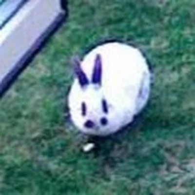 SCP-524 | Wiki Fundação SCP | Fandom