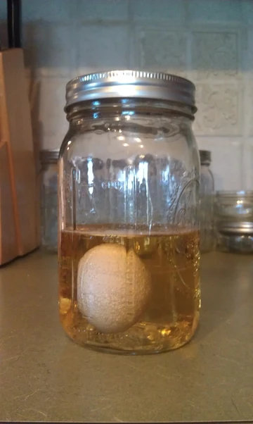 SCP-2029 | Wiki Fundação SCP | Fandom