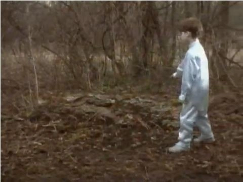 SCP-1706 | Wiki Fundação SCP | Fandom