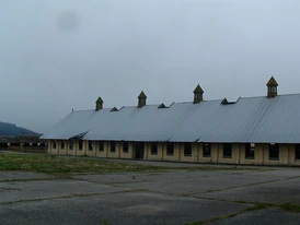 SCP-889 | Wiki Fundação SCP | Fandom