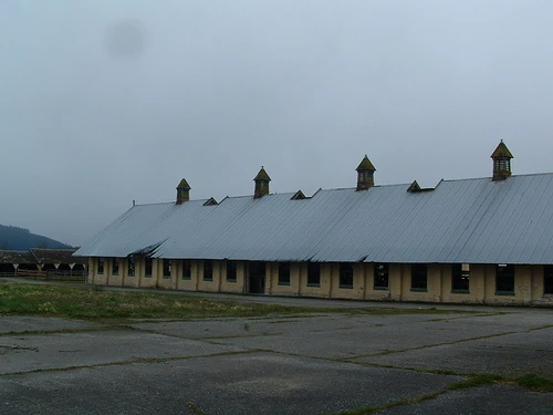 SCP-889 | Wiki Fundação SCP | Fandom