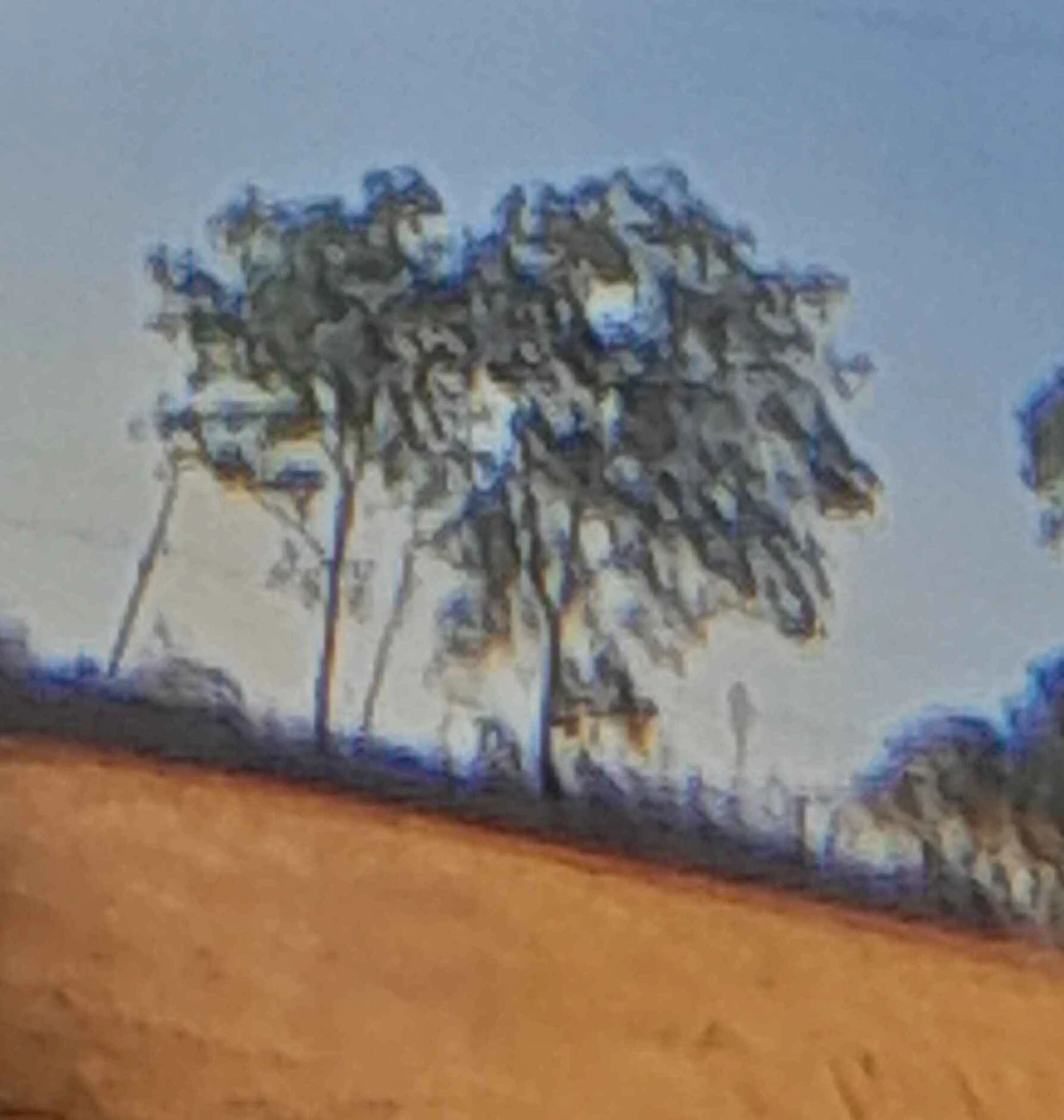 SCP-7865 | Wiki Fundação SCP | Fandom