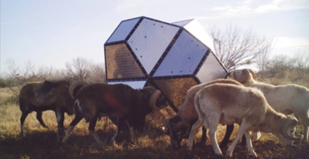 SCP-1843 | Wiki Fundação SCP | Fandom