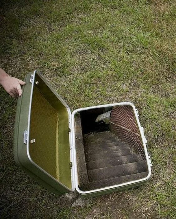 SCP-1102 | Wiki Fundação SCP | Fandom