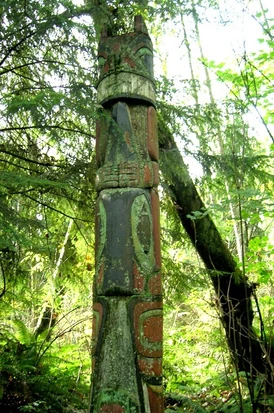 SCP-1579 | Wiki Fundação SCP | Fandom