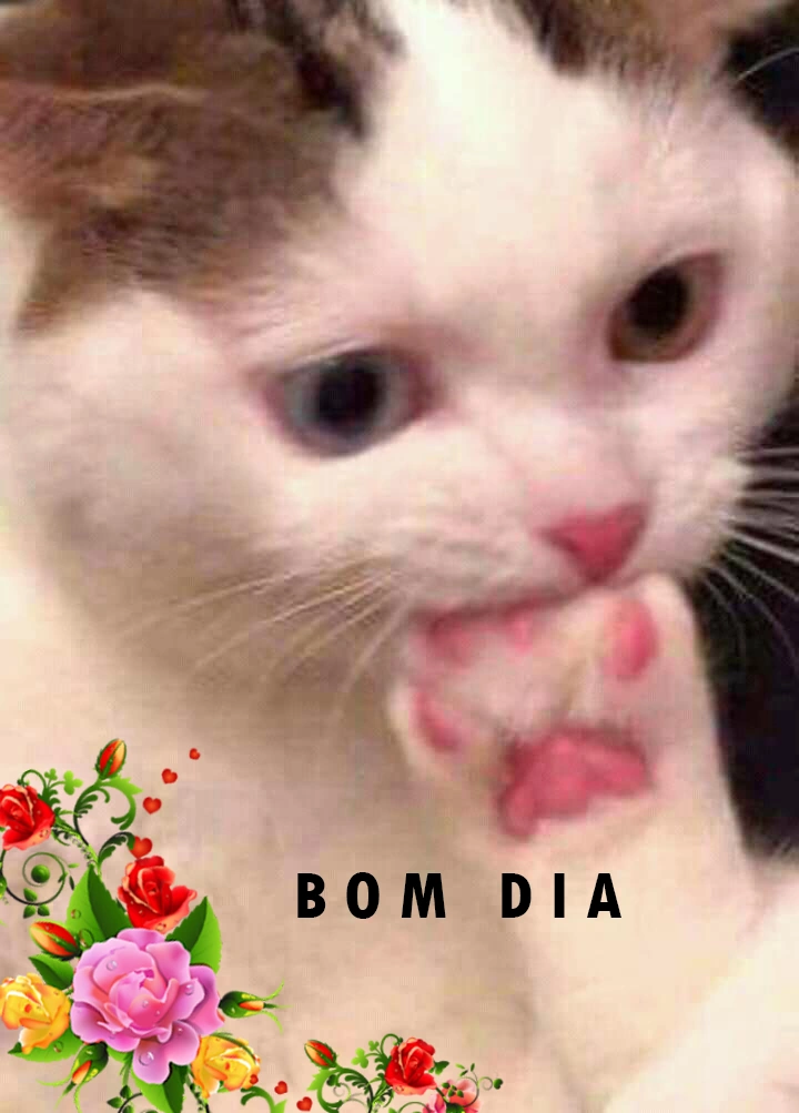 SCP-075-PT-J | Wiki Fundação SCP | Fandom