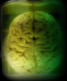 SCP-748 | Wiki Fundação SCP | Fandom