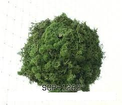 SCP-1262 | Wiki Fundação SCP | Fandom