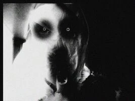 SCP-128 | Wiki Fundação SCP | Fandom