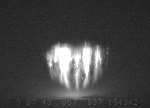 SCP-938 | Wiki Fundação SCP | Fandom