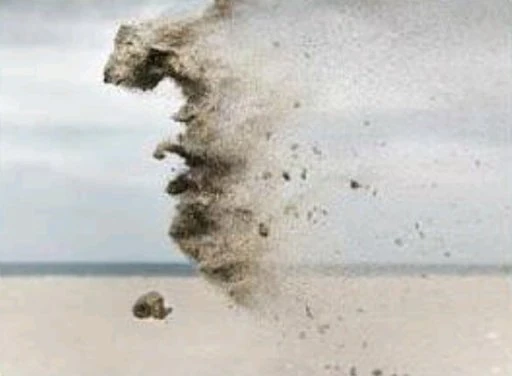 SCP-440 | Wiki Fundação SCP | Fandom