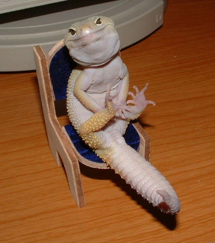 SCP-2014 | Wiki Fundação SCP | Fandom