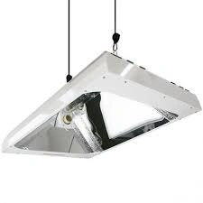 SCP-1539 | Wiki Fundação SCP | Fandom